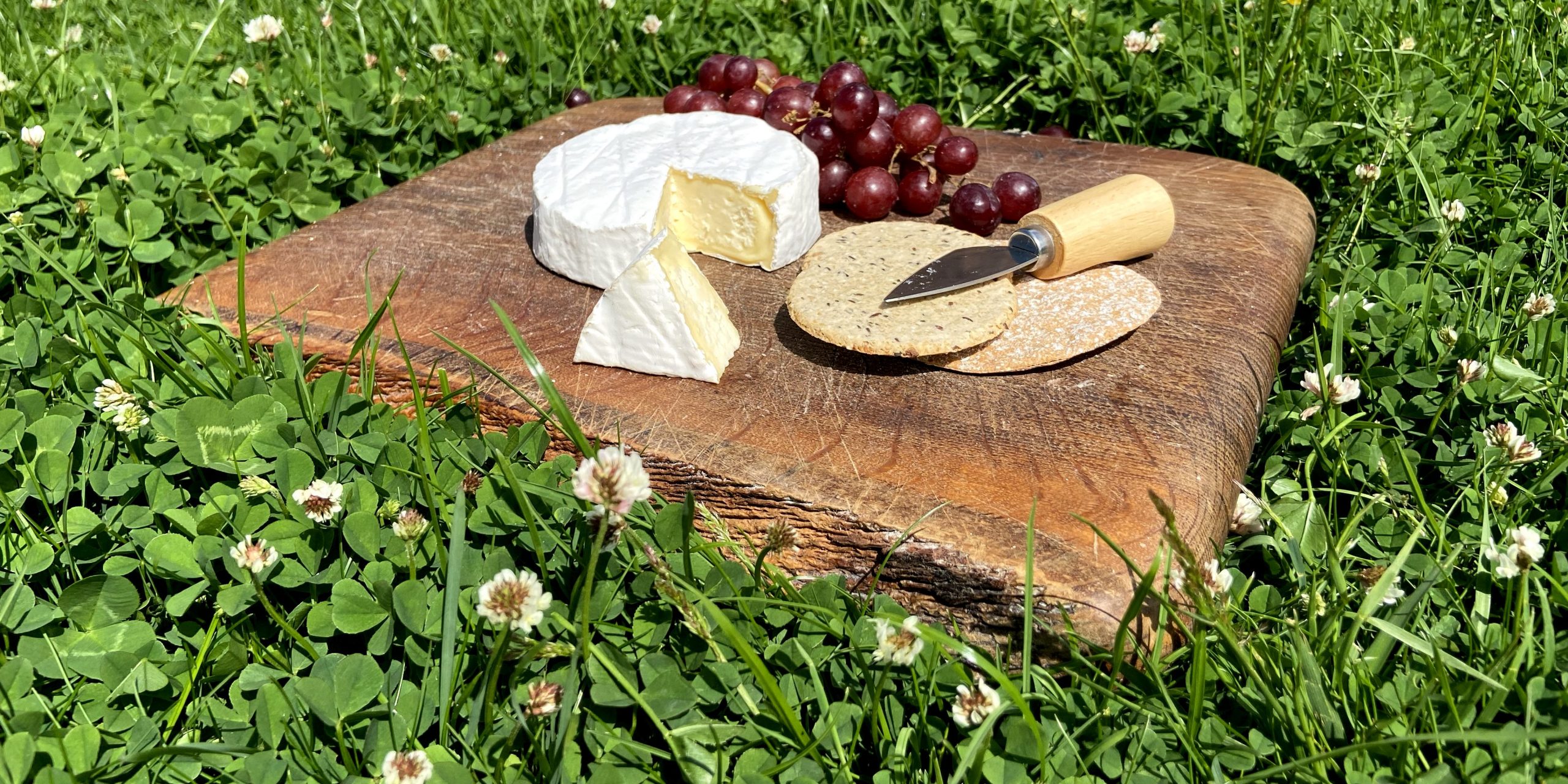 The Torpenhow Cheese Company – Organic Handmade Cheese – Delicious ...